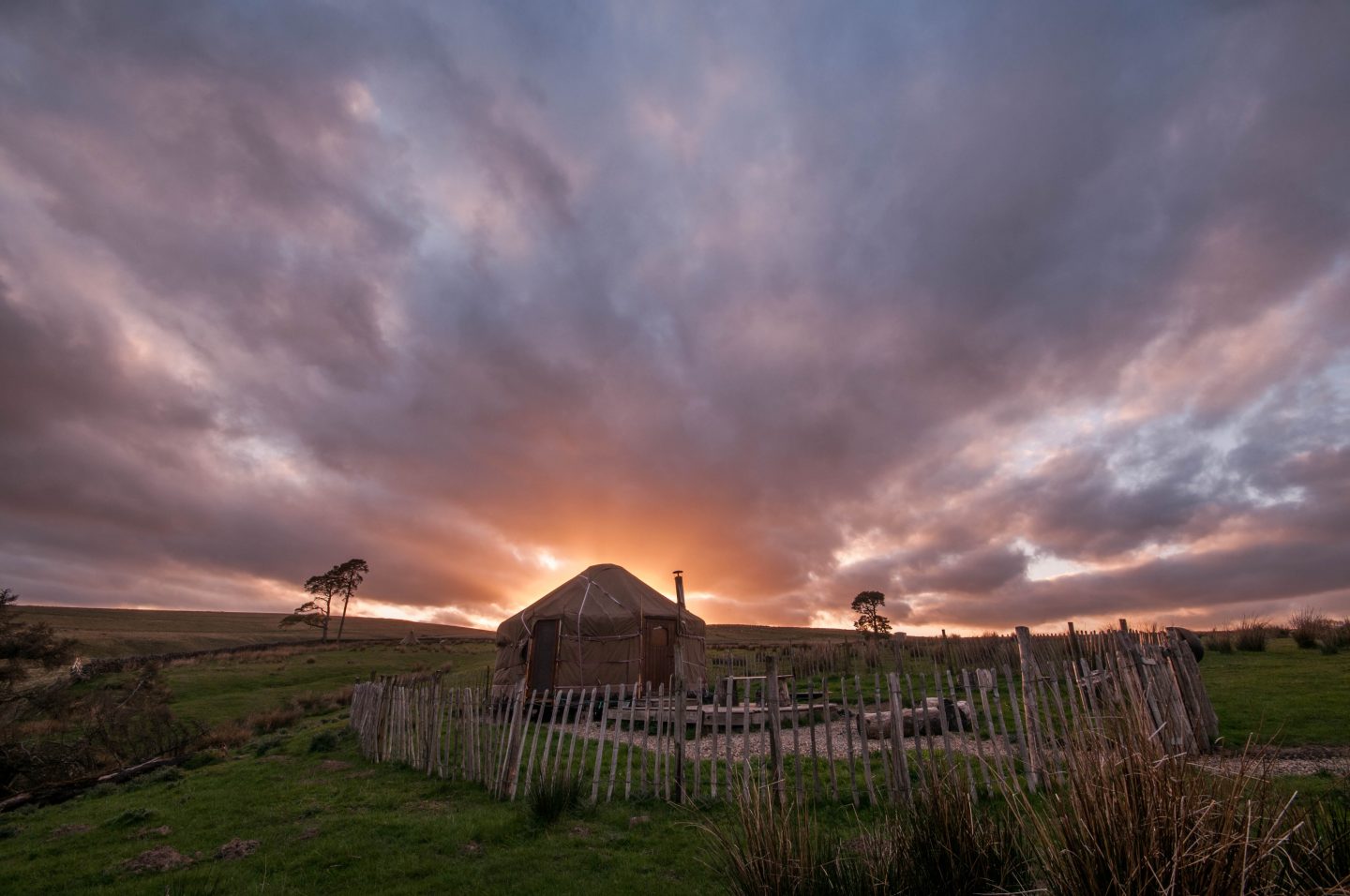 Welcome - WILD NORTHUMBRIAN